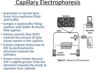 Electrophoresis sem4 paper1 MITHIBAI COLLEGE | PPTX