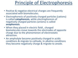 Electrophoresis sem4 paper1 MITHIBAI COLLEGE | PPTX