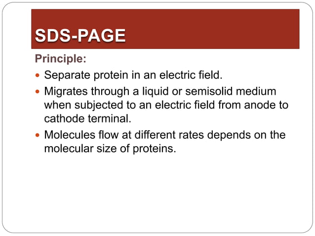 Electrophoresis: SDS-PAGE | PPTX
