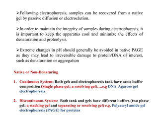 Electrophoresis | PPTX | Chemistry | Science
