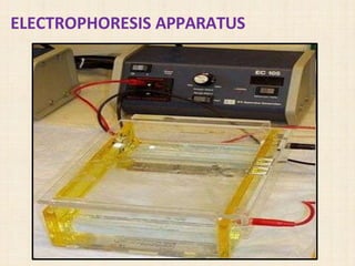 Electrophoresis | PPTX