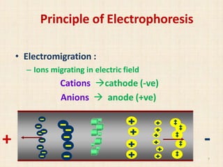Electrophoresis | PPTX