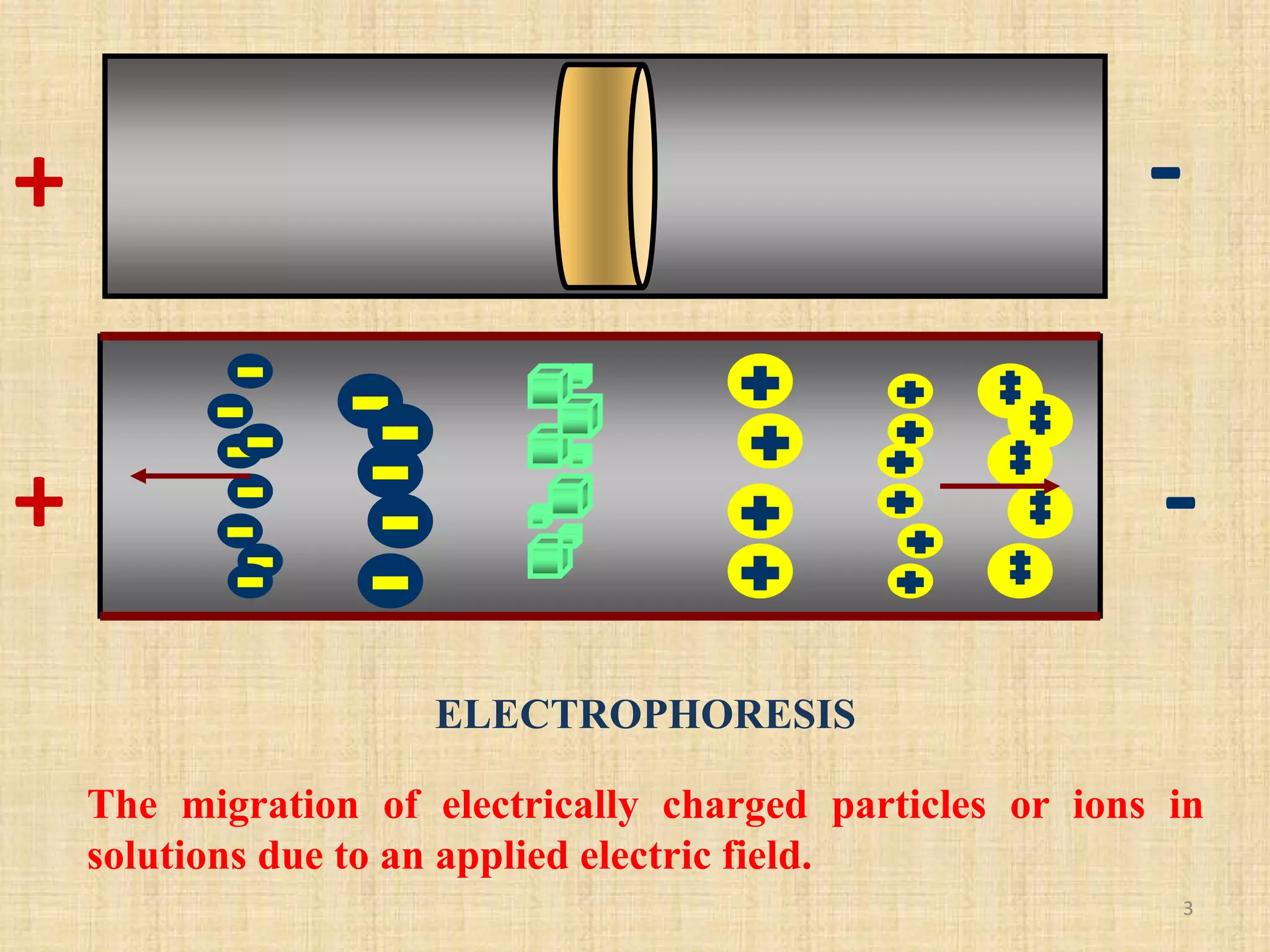 Electrophoresis | PDF