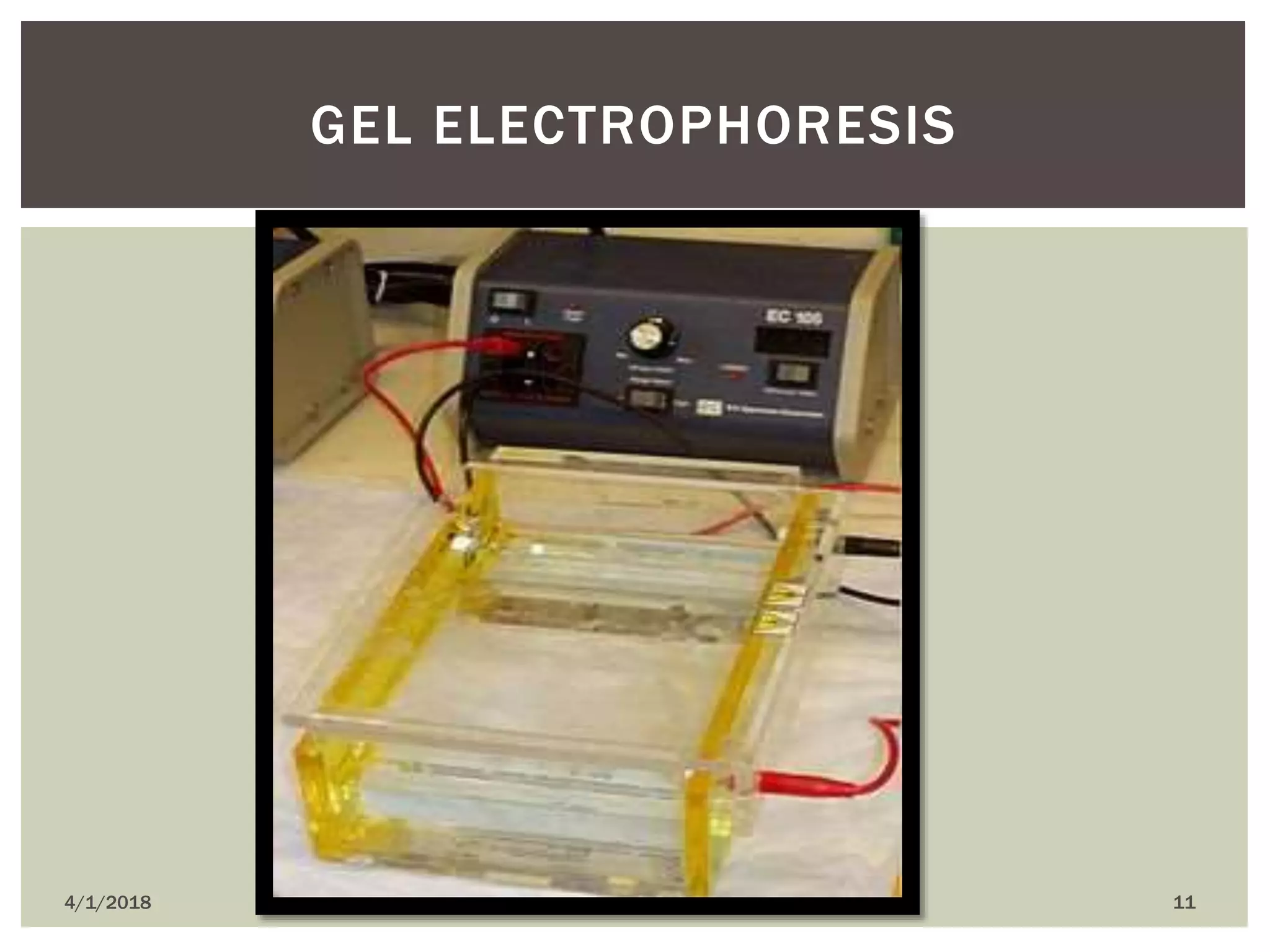 Electrophoresis-PAPER ELECTROPHORESIS,GEL ELCTROPHORESIS, PAGE-SDS AND ...