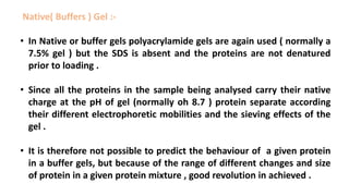 Electro phoresis | PPTX