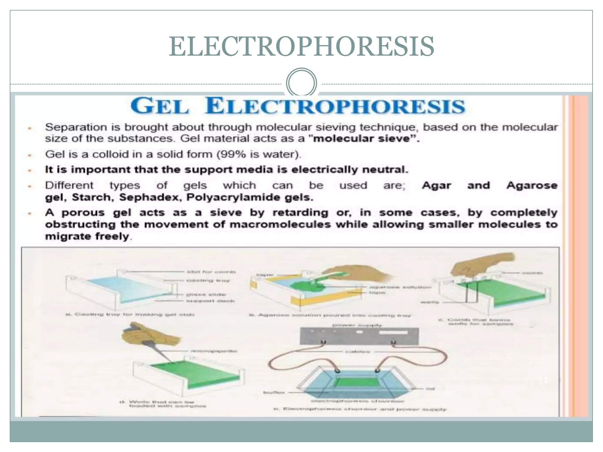 Electrophoresis | PPTX | Chemistry | Science