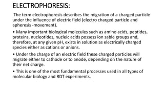 Electrophoresis | PPTX