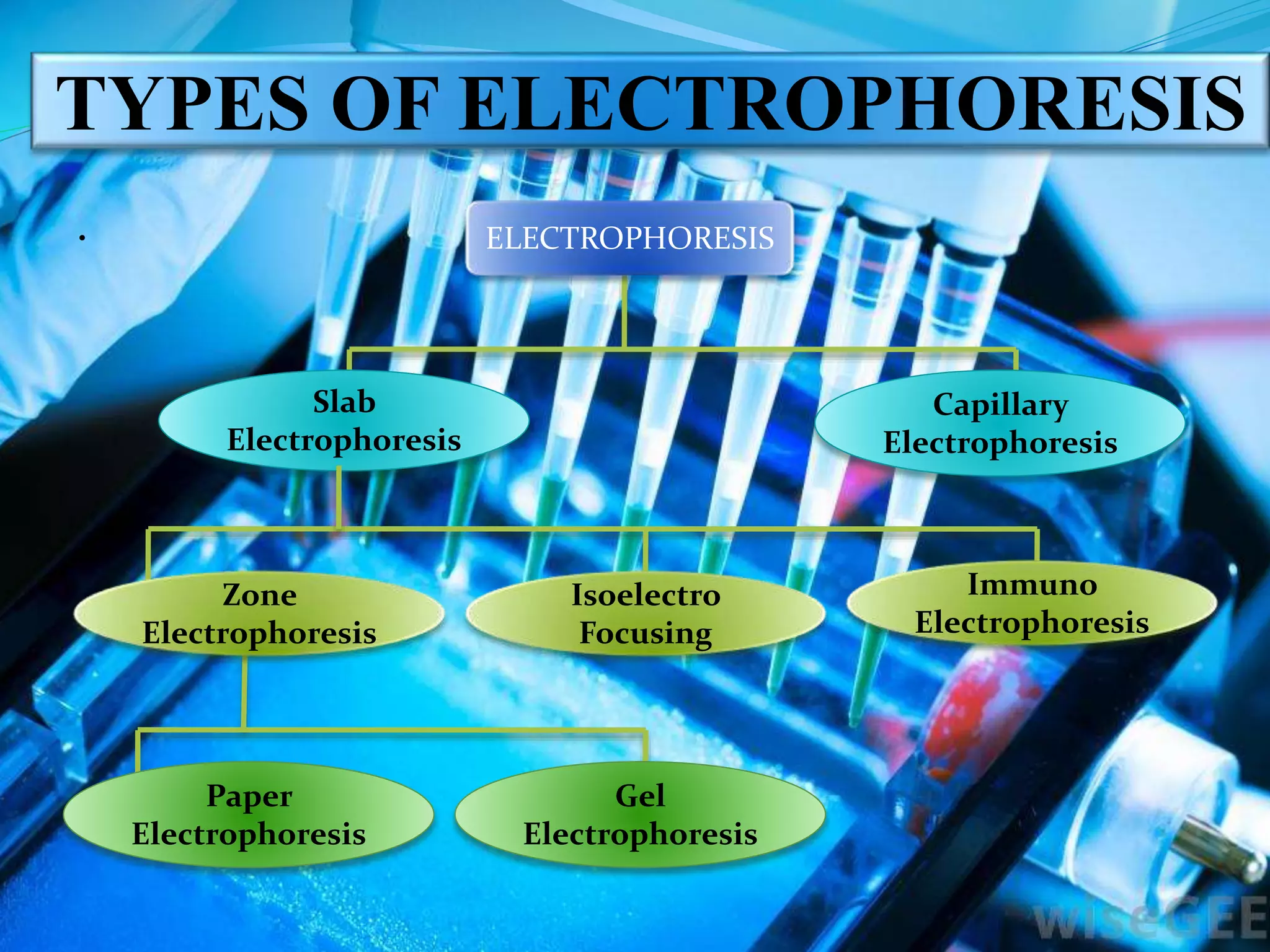 Electrophoresis | PPTX