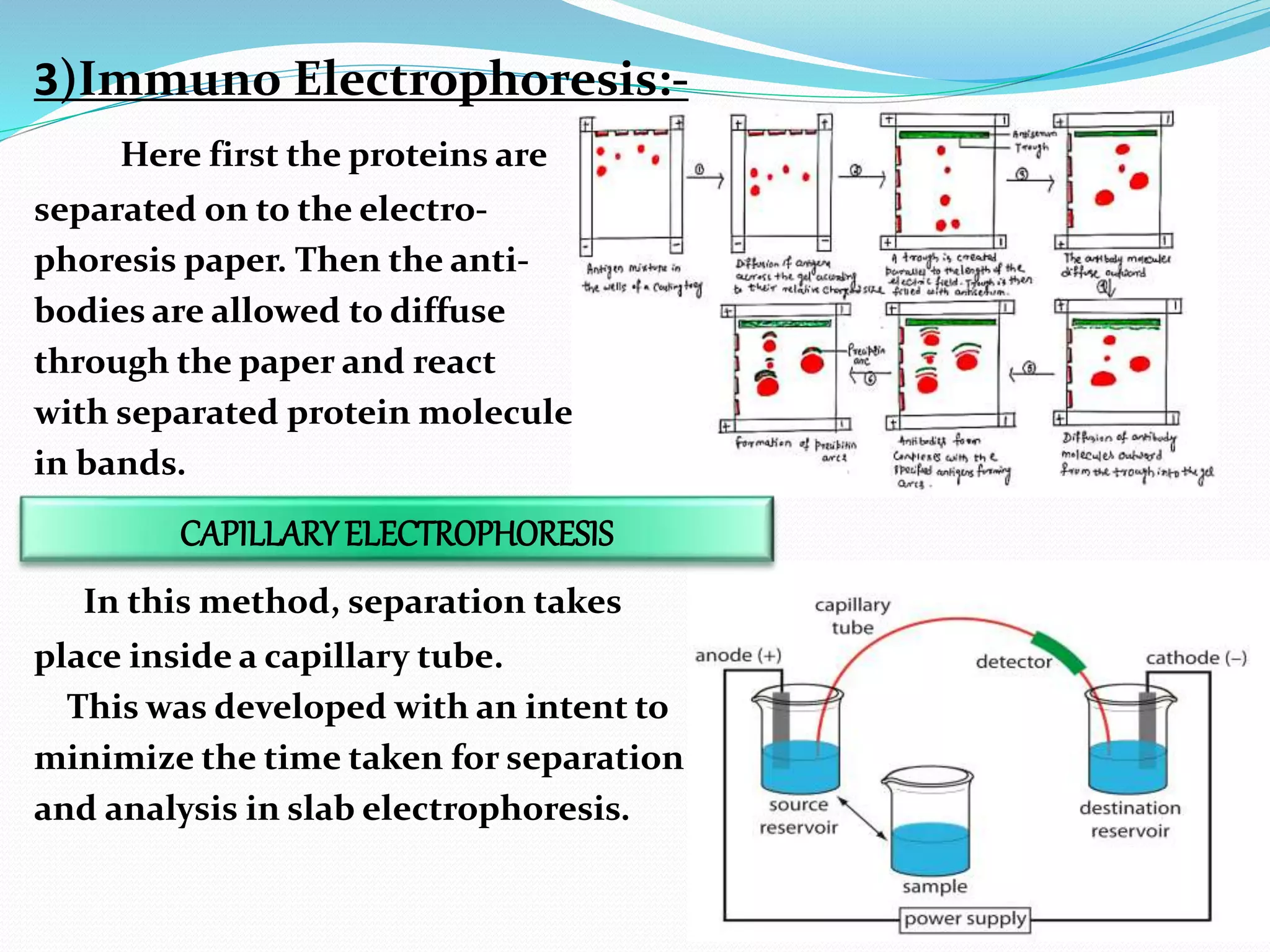 Electrophoresis | PPTX