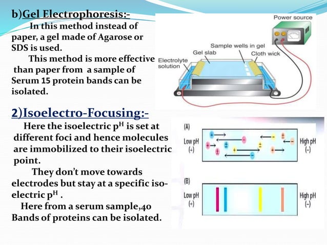 Electrophoresis | PPT