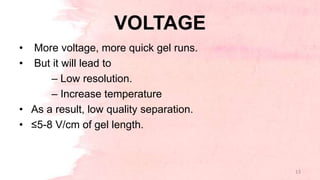 Electrophoresis | PPTX