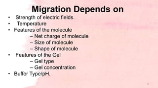 Electrophoresis | PPTX