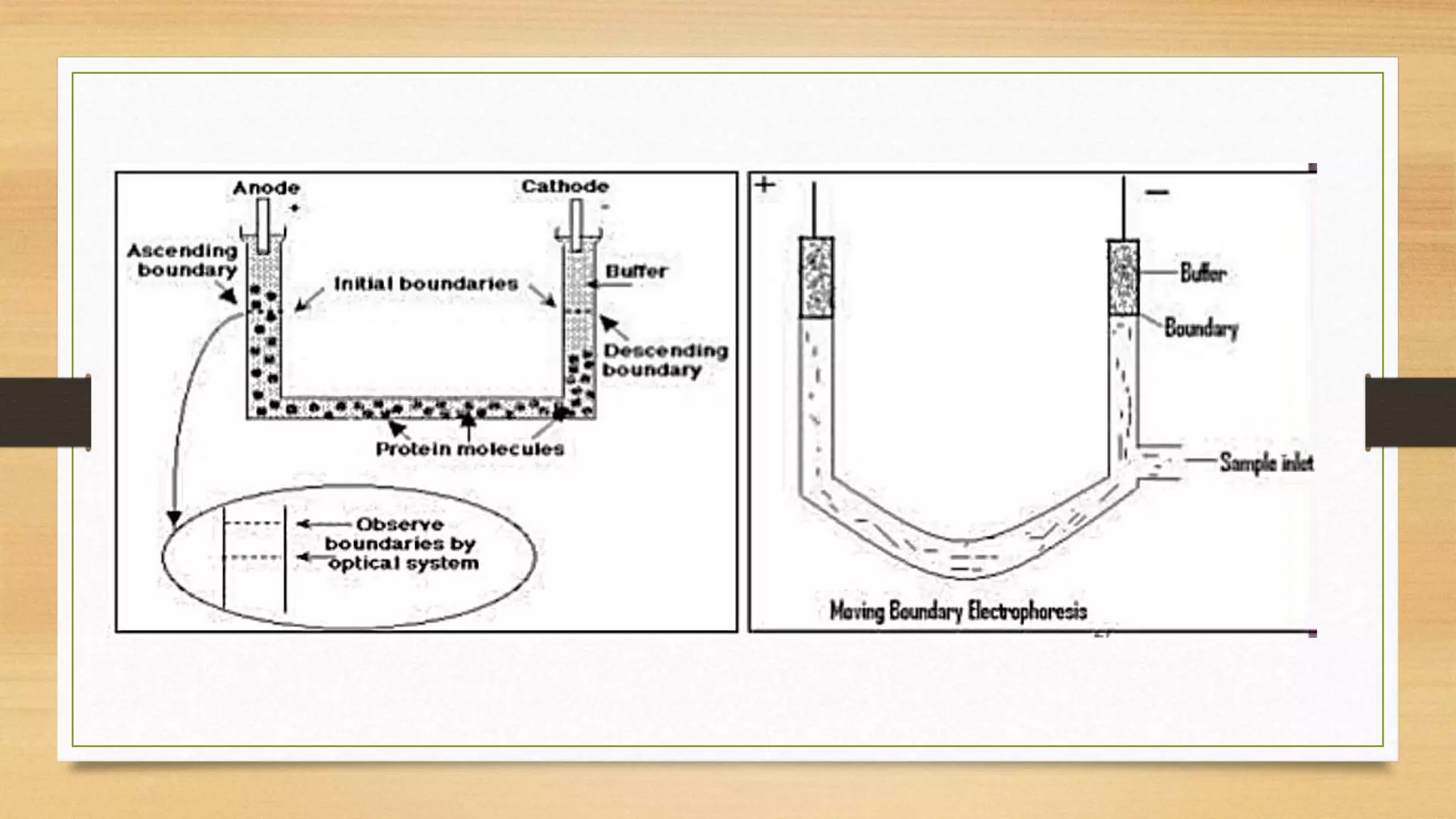 Moving Boundary Electrophoresis by Anamika Dey | PPTX