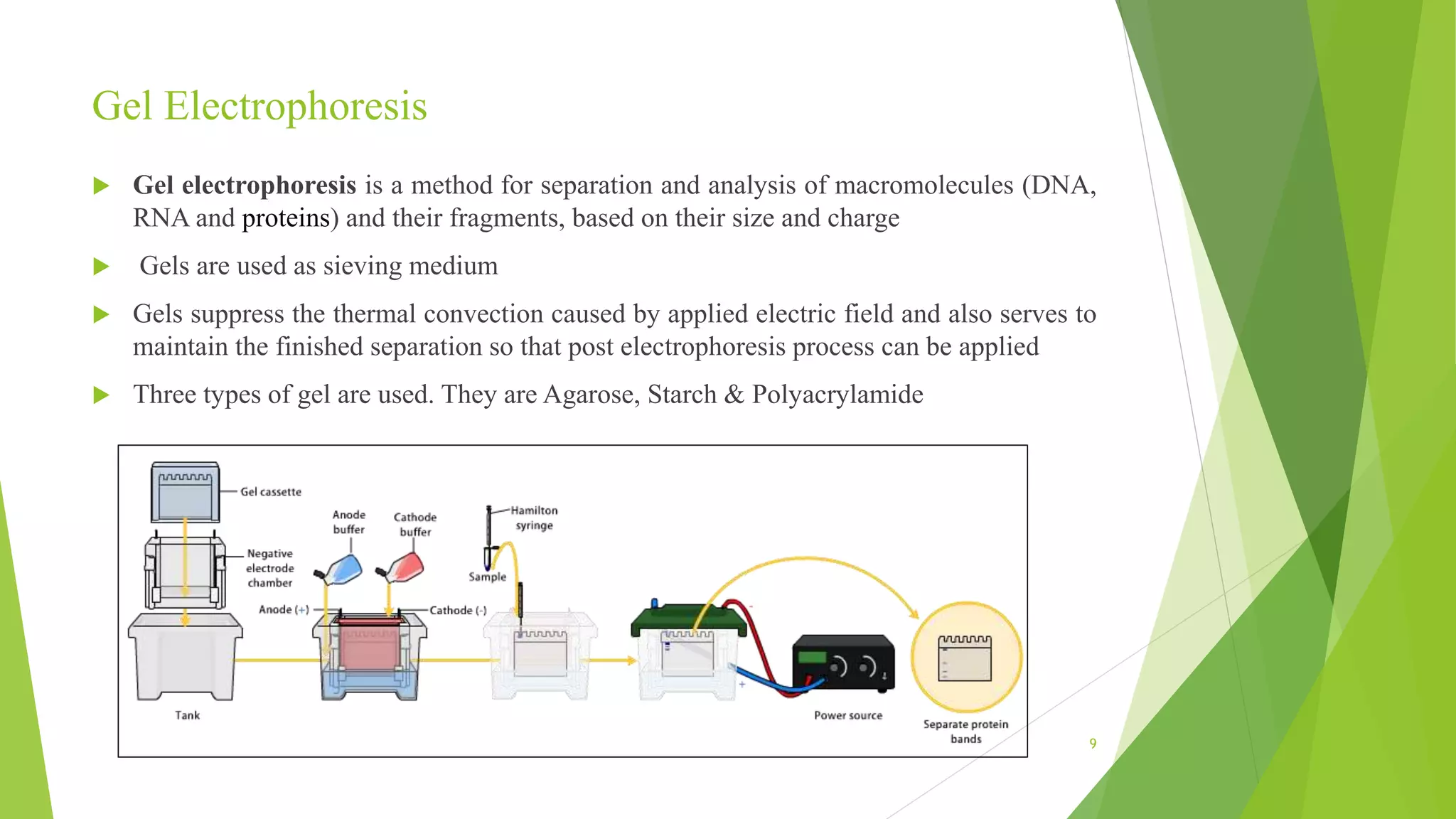 Electrophoresis | PPT