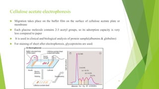 Electrophoresis | PPTX