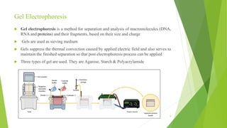 Electrophoresis | PPTX
