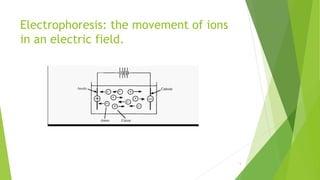Electrophoresis | PPTX
