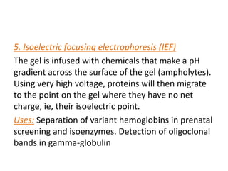 Electrophoresis | PPTX