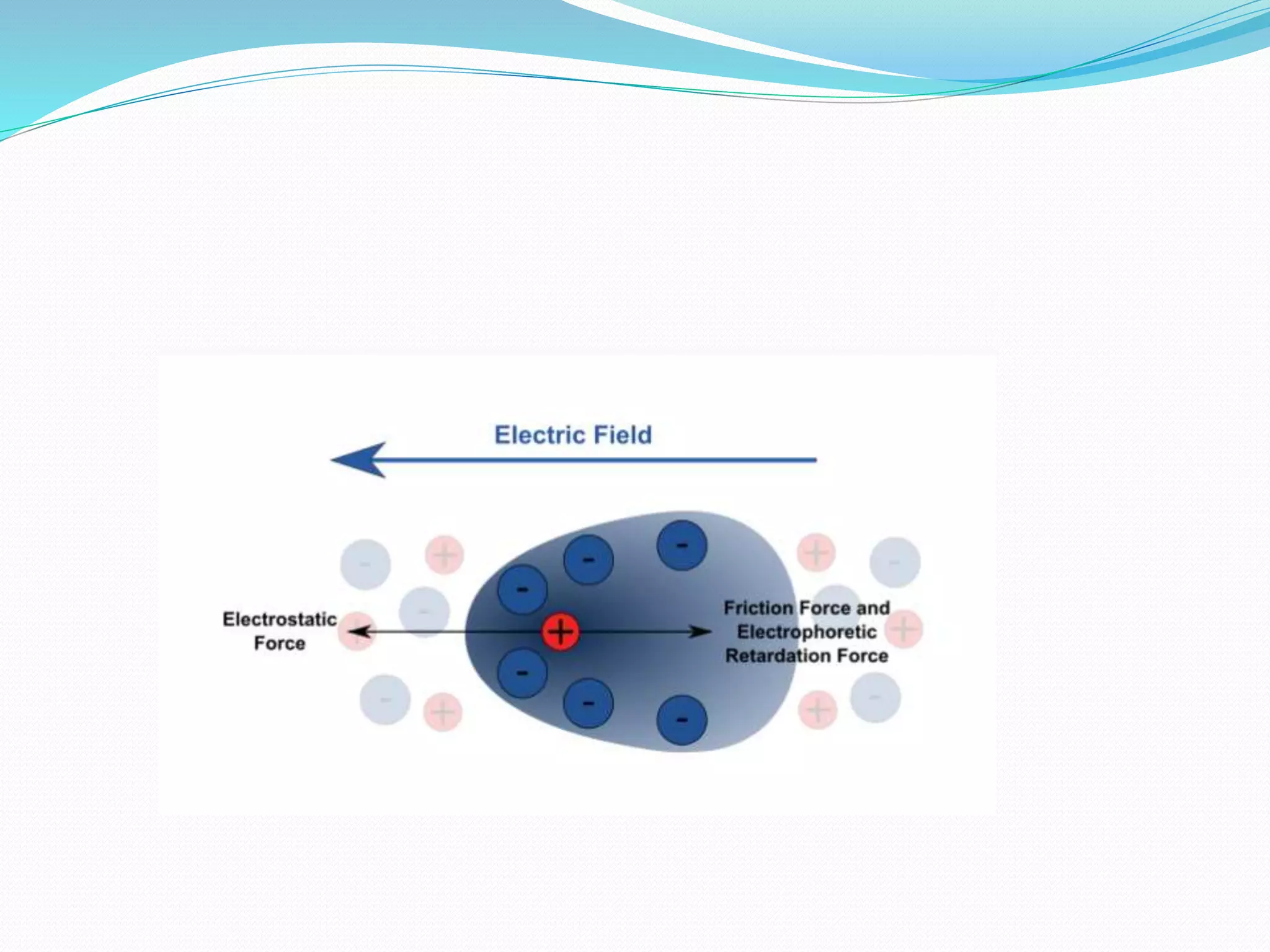 Applied Biochemistry | PPTX