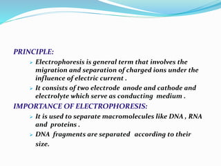 Applied Biochemistry | PPT