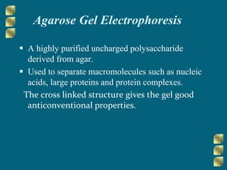 Electrophoresis, principle and types | PPTX