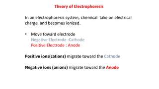 Electrophoresis | PPTX