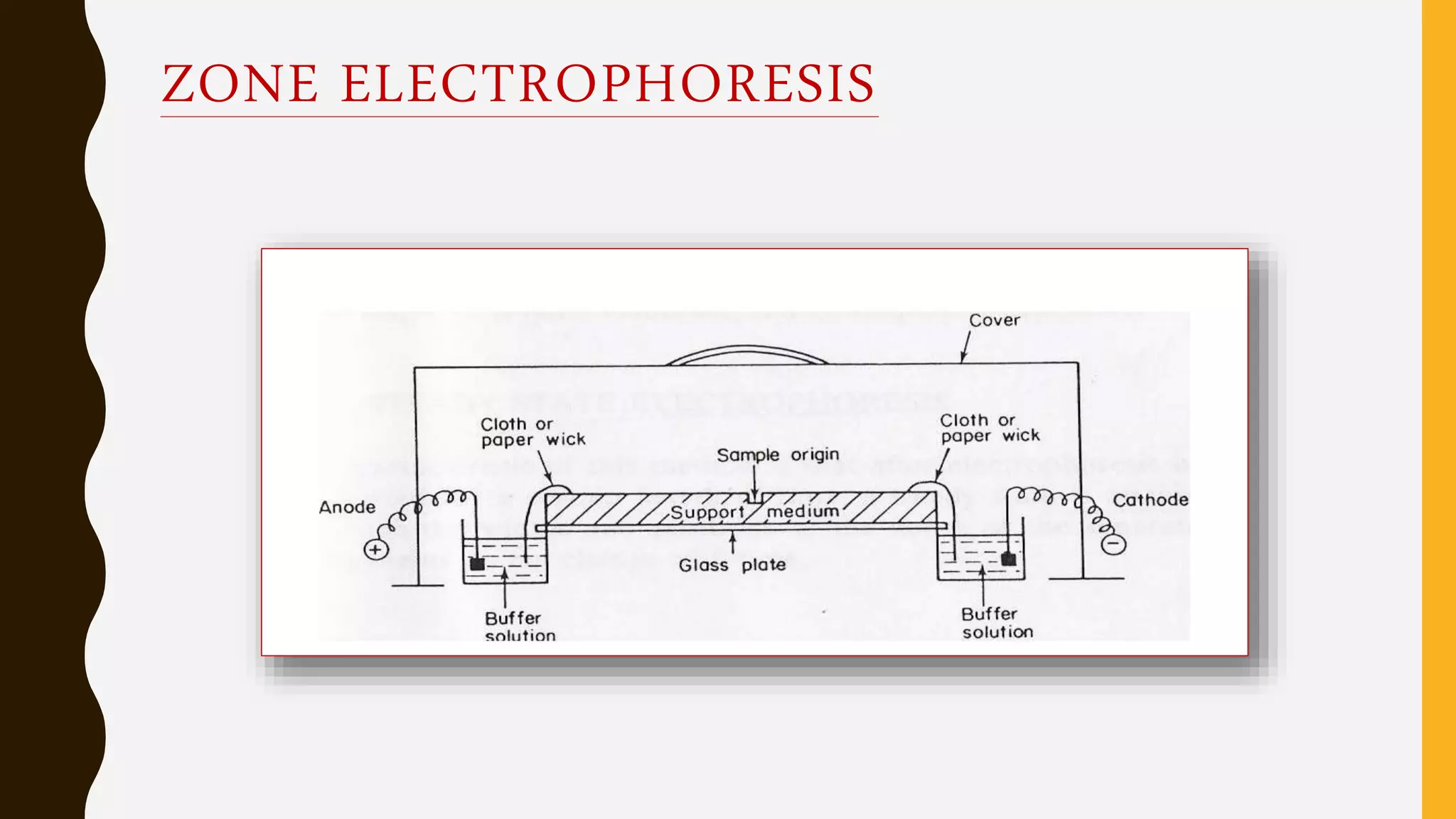 Electrophoresis | PPTX