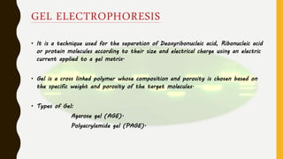 Electrophoresis | PPTX