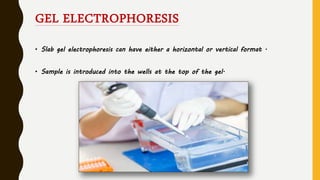 Electrophoresis | PPTX