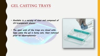 Electrophoresis | PPTX