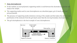 Electrophoresis | PPTX