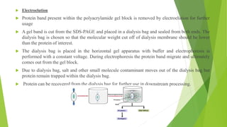 Electrophoresis | PPTX | Chemistry | Science