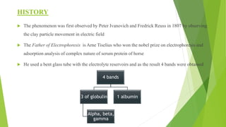 Electrophoresis | PPTX