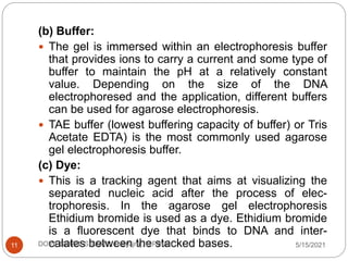 Electrophoresis | PPTX | Chemistry | Science