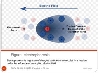 Electrophoresis | PPTX