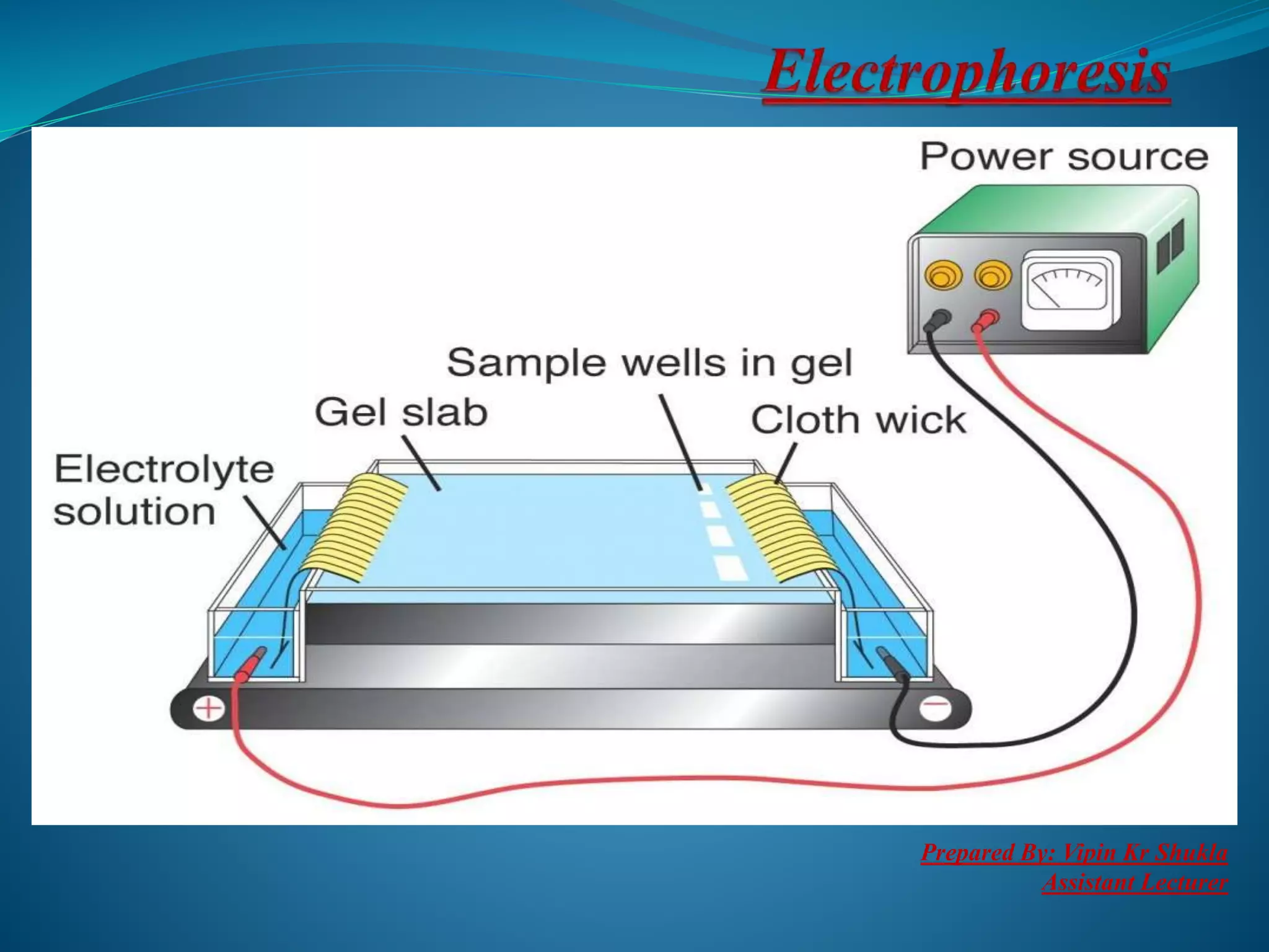 Electrophoresis | PPTX