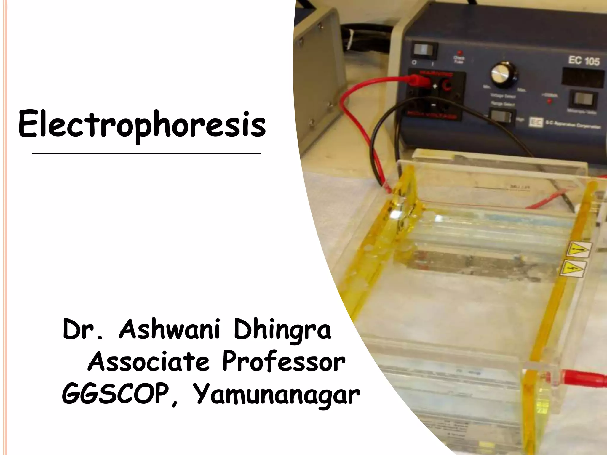 Electrophoresis | PDF