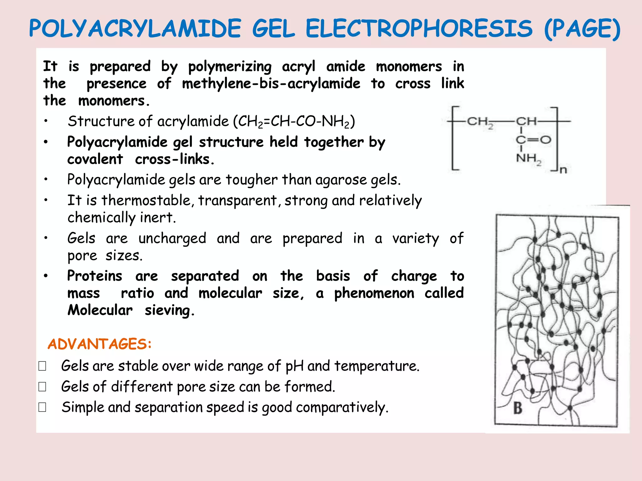 Electrophoresis | PDF