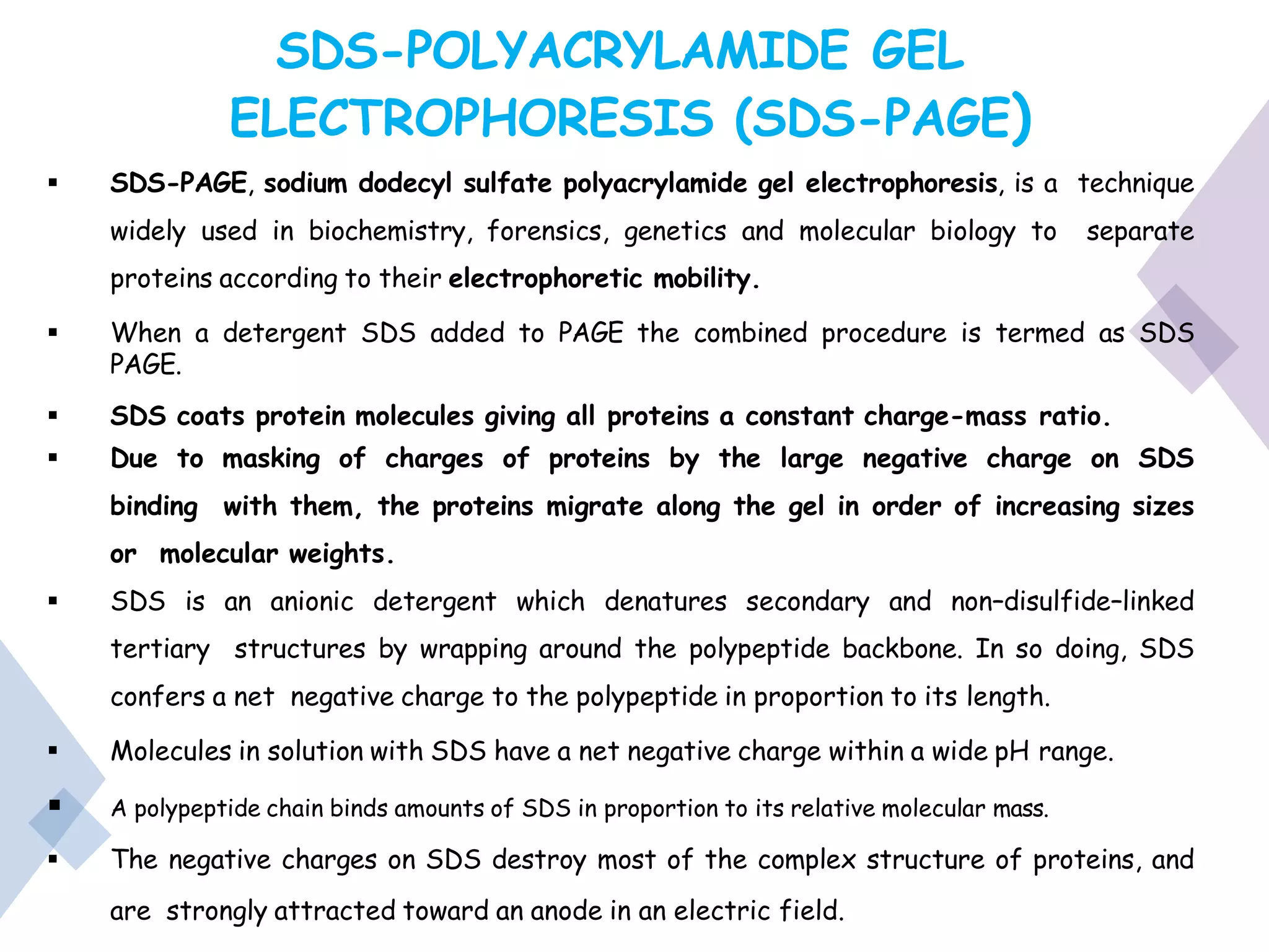 Electrophoresis | PDF