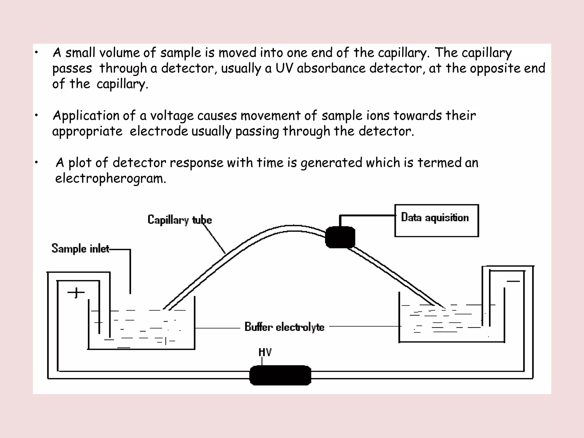 Electrophoresis | PDF