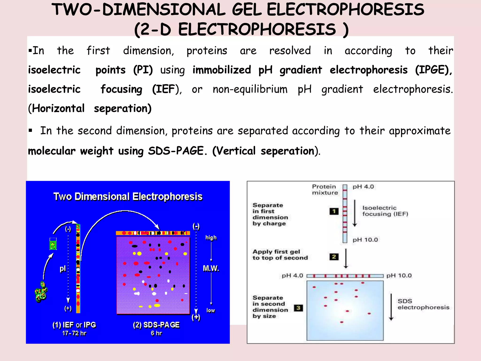 Electrophoresis | PDF