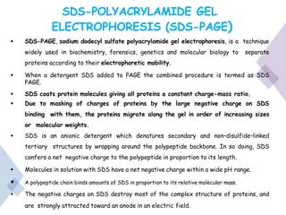 Electrophoresis | PDF