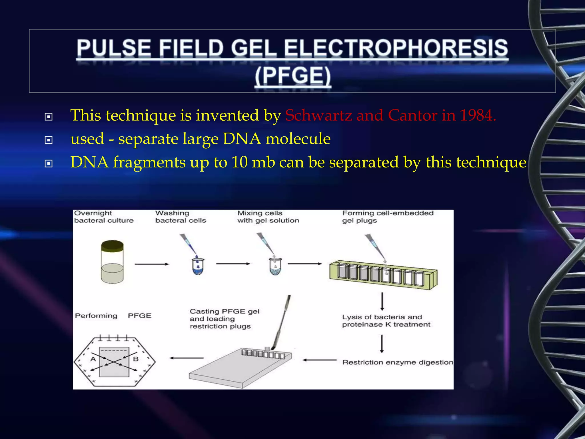 Electrophoresis & its Type | PPTX