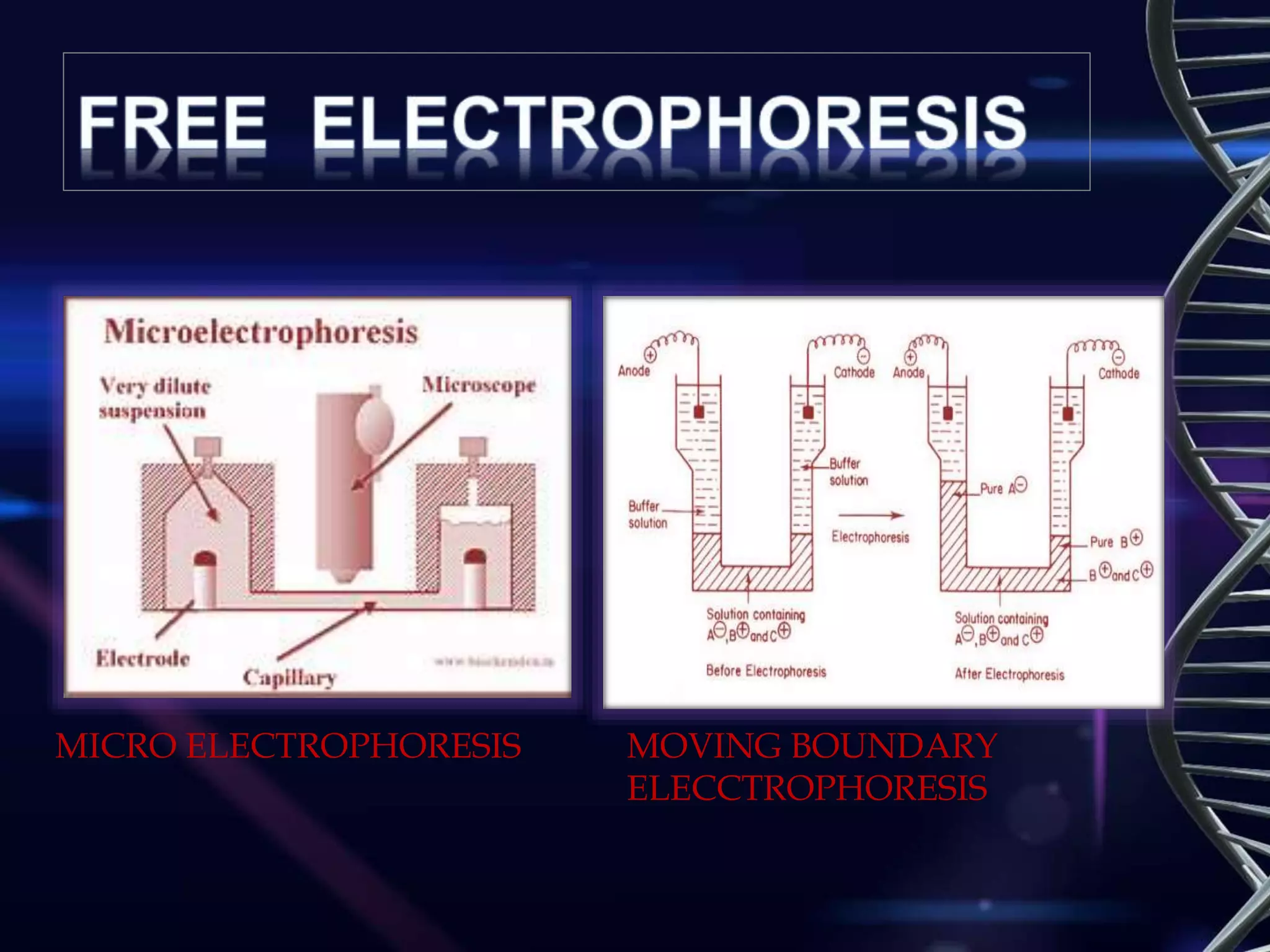 Electrophoresis & its Type | PPTX