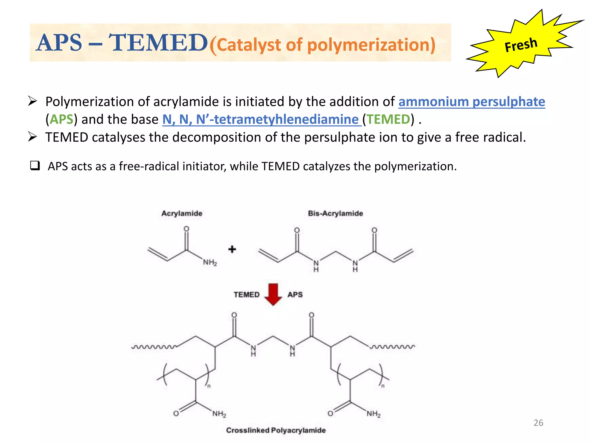 Electrophoresis | PDF | Chemistry | Science