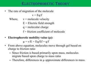 Electrophoresis.pdf