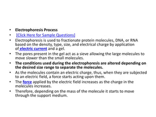 Electrophoresis and it's working principles | PPTX