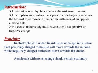 electrophoresis technique principle procedure | PPT