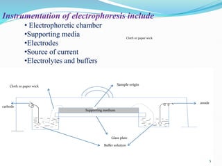 electrophoresis technique principle procedure | PPT