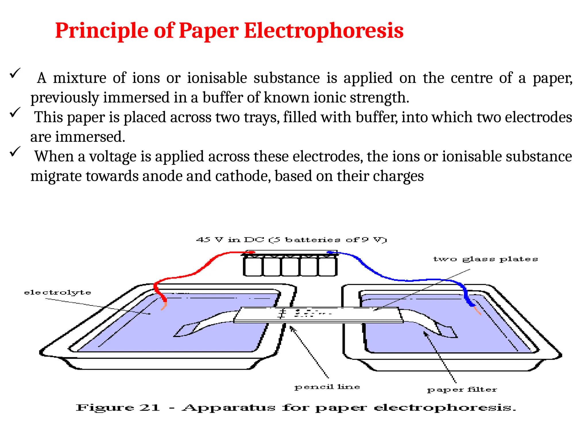 Electrophoresis. separation of proteins ppt | PPTX